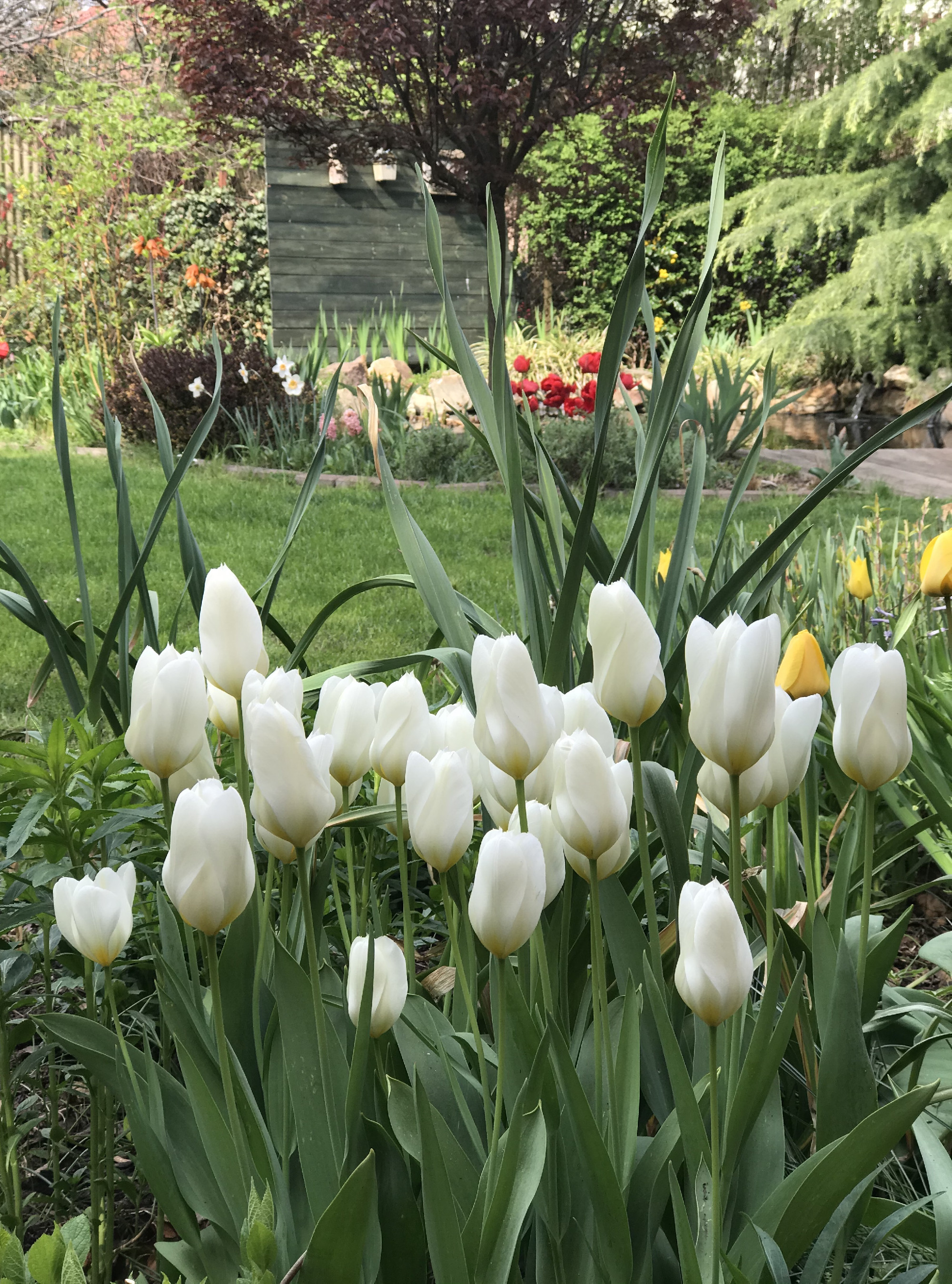 A legszebb látogatható magánkertek – ha kíváncsi vagy, mások hogy ...
