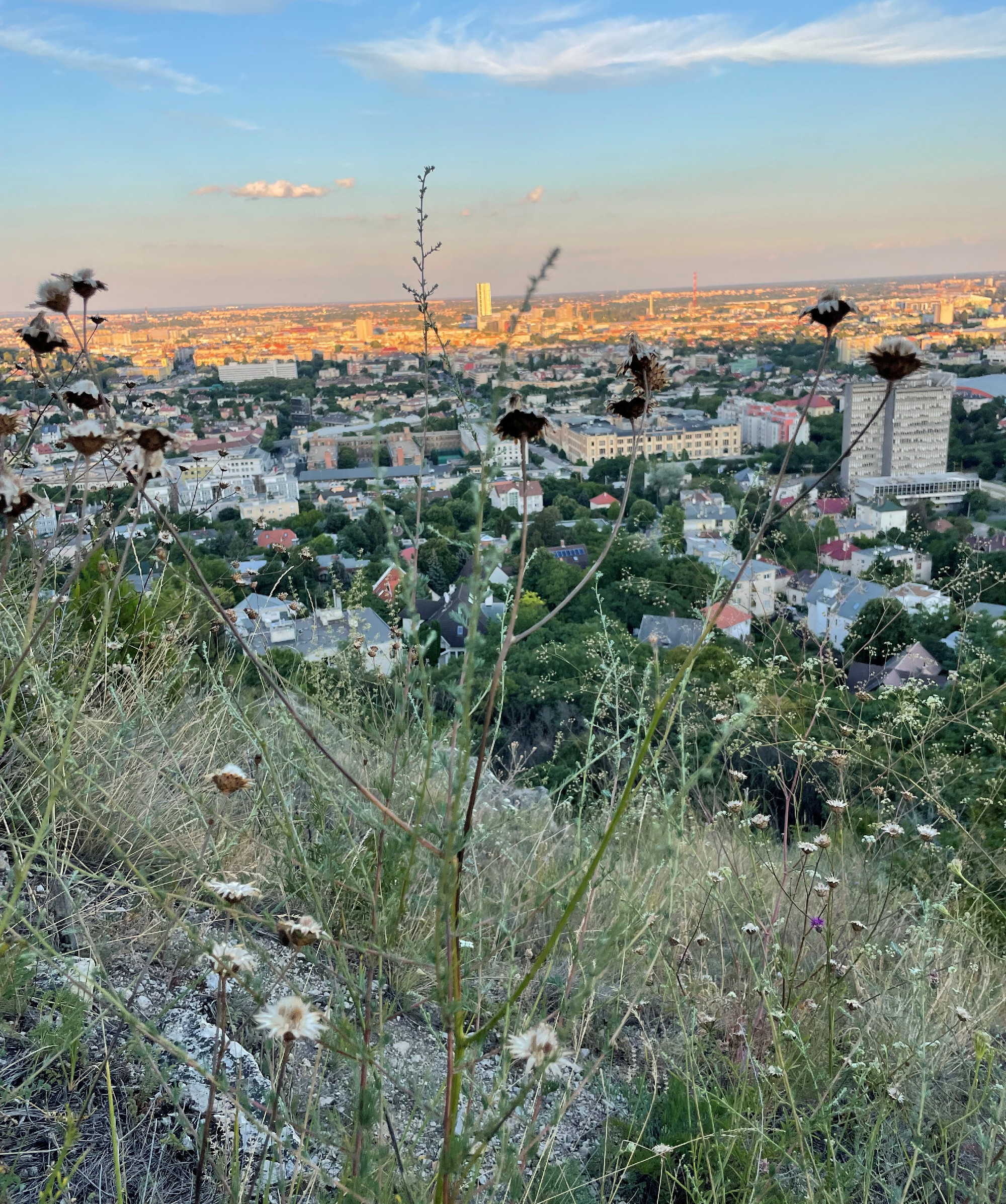 Jégkorszaki emlékek Budapest felett: fedezd fel értük a Sas-hegyet ...