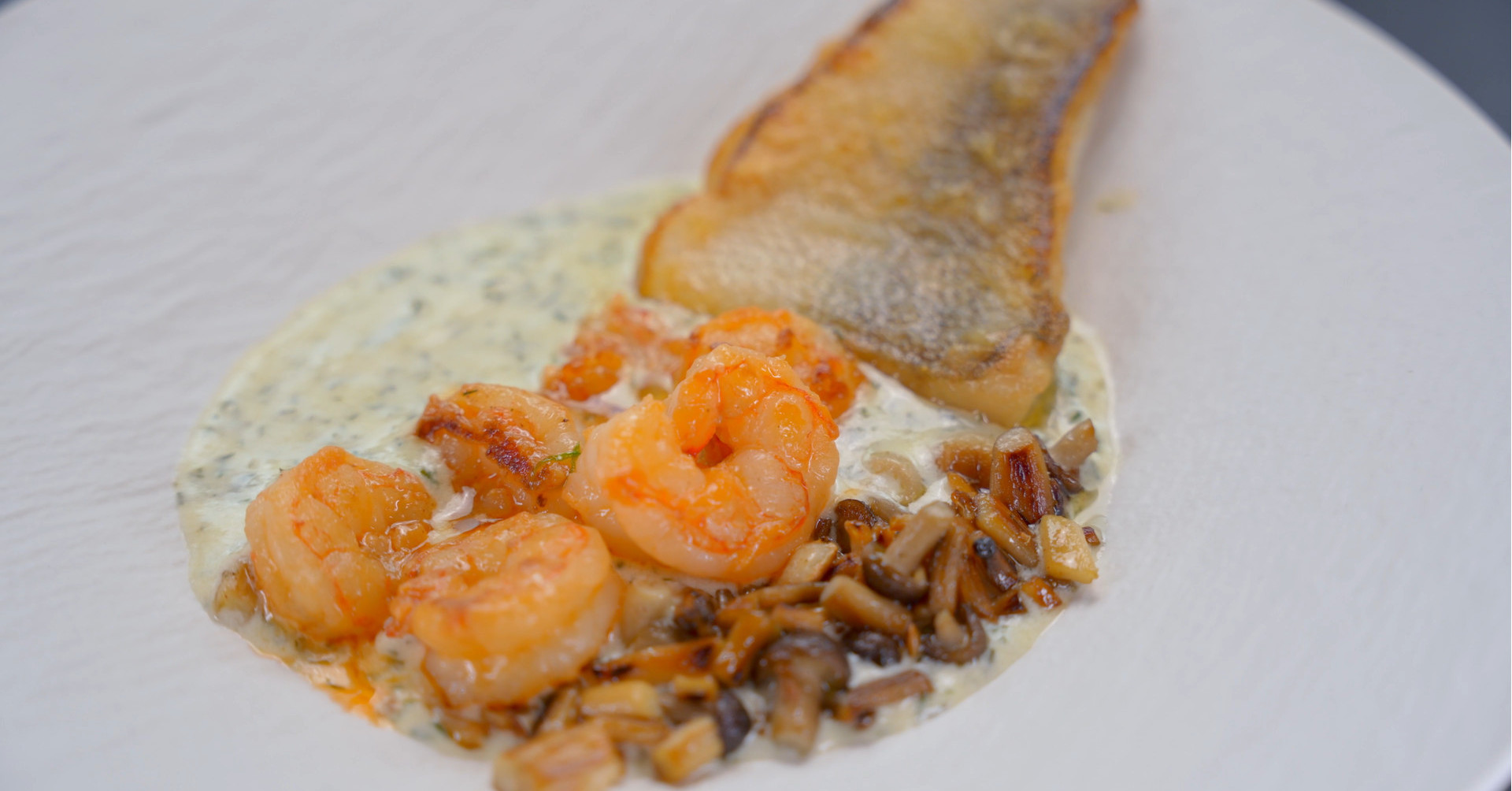 Fogas kárpáti módra | egy.hu