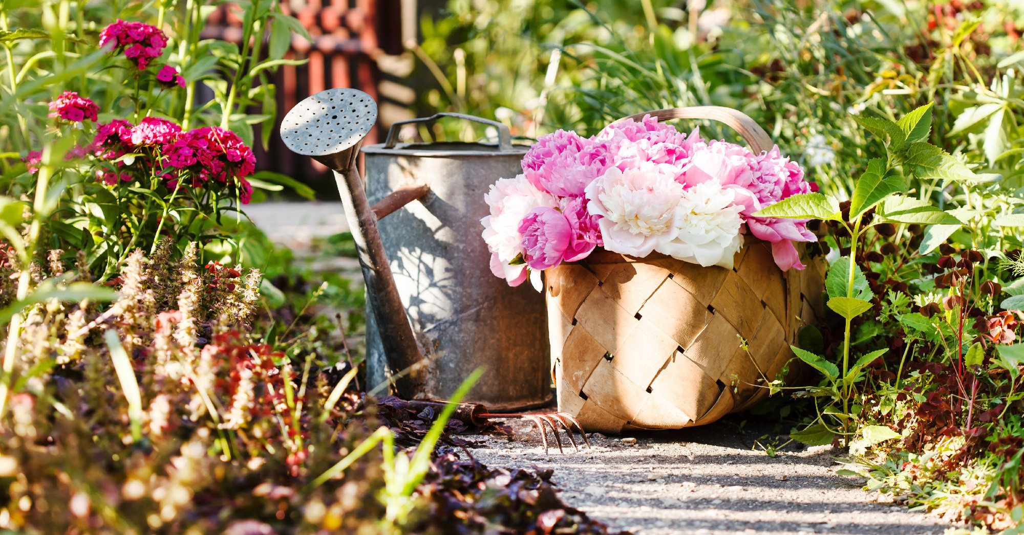Régi magyar kertek virágai | egy.hu