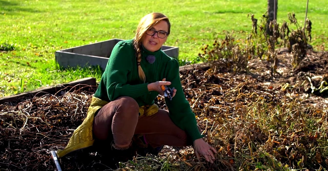 Kertem: a permakultúrás kert télen | egy.hu